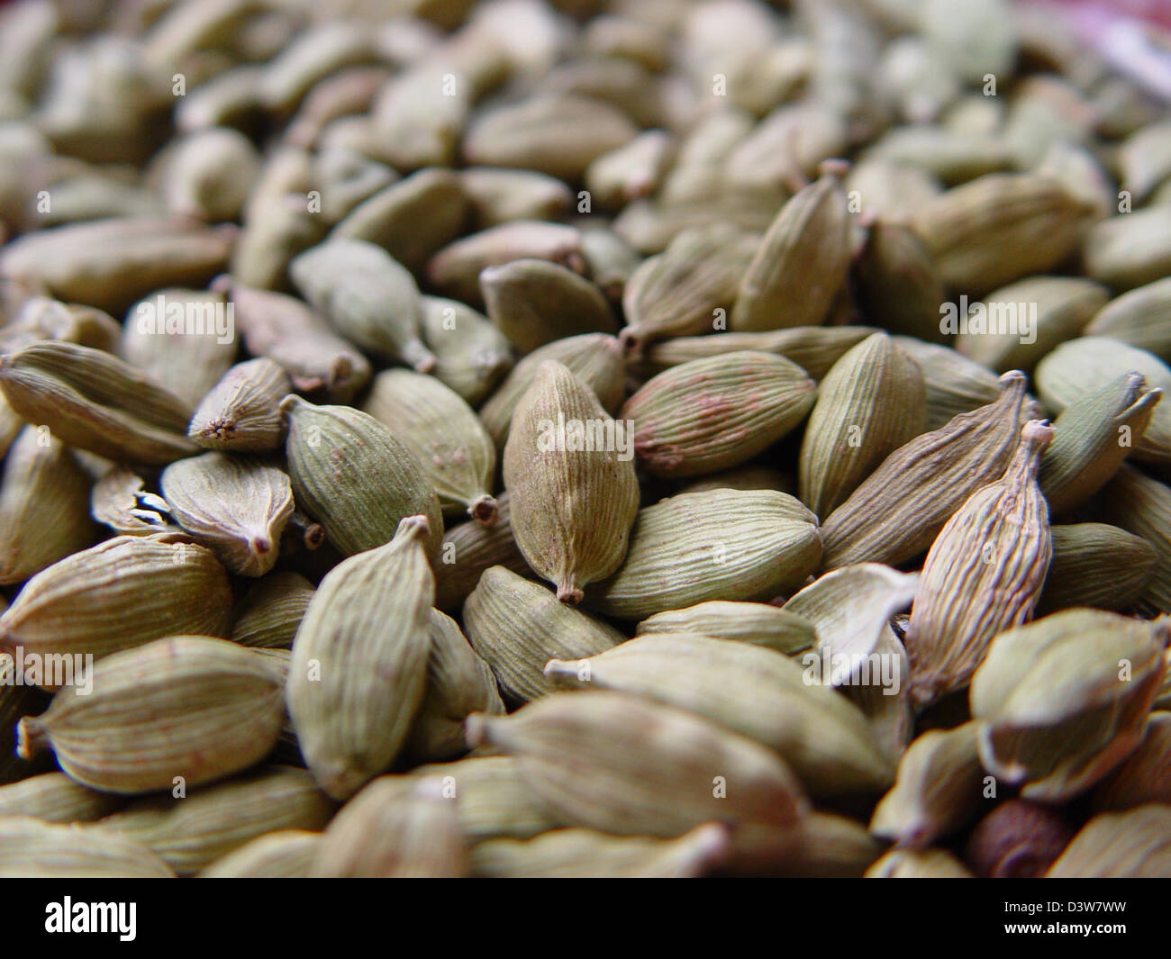 (dpa files) - Cardamom pictured in Hamburg, Germany, 1 October 2004 ...