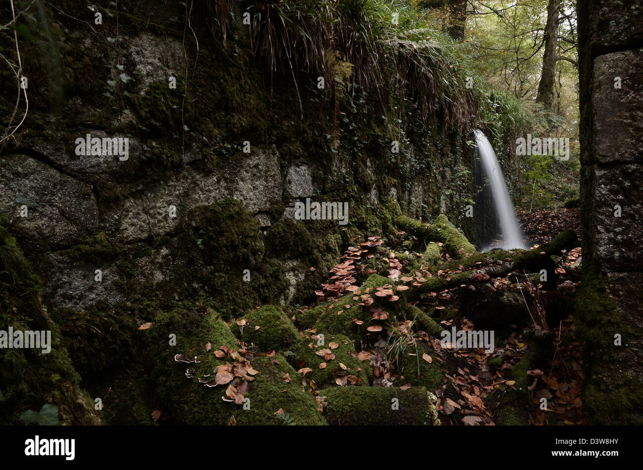 Nature reclaims the land Stock Photo - Alamy