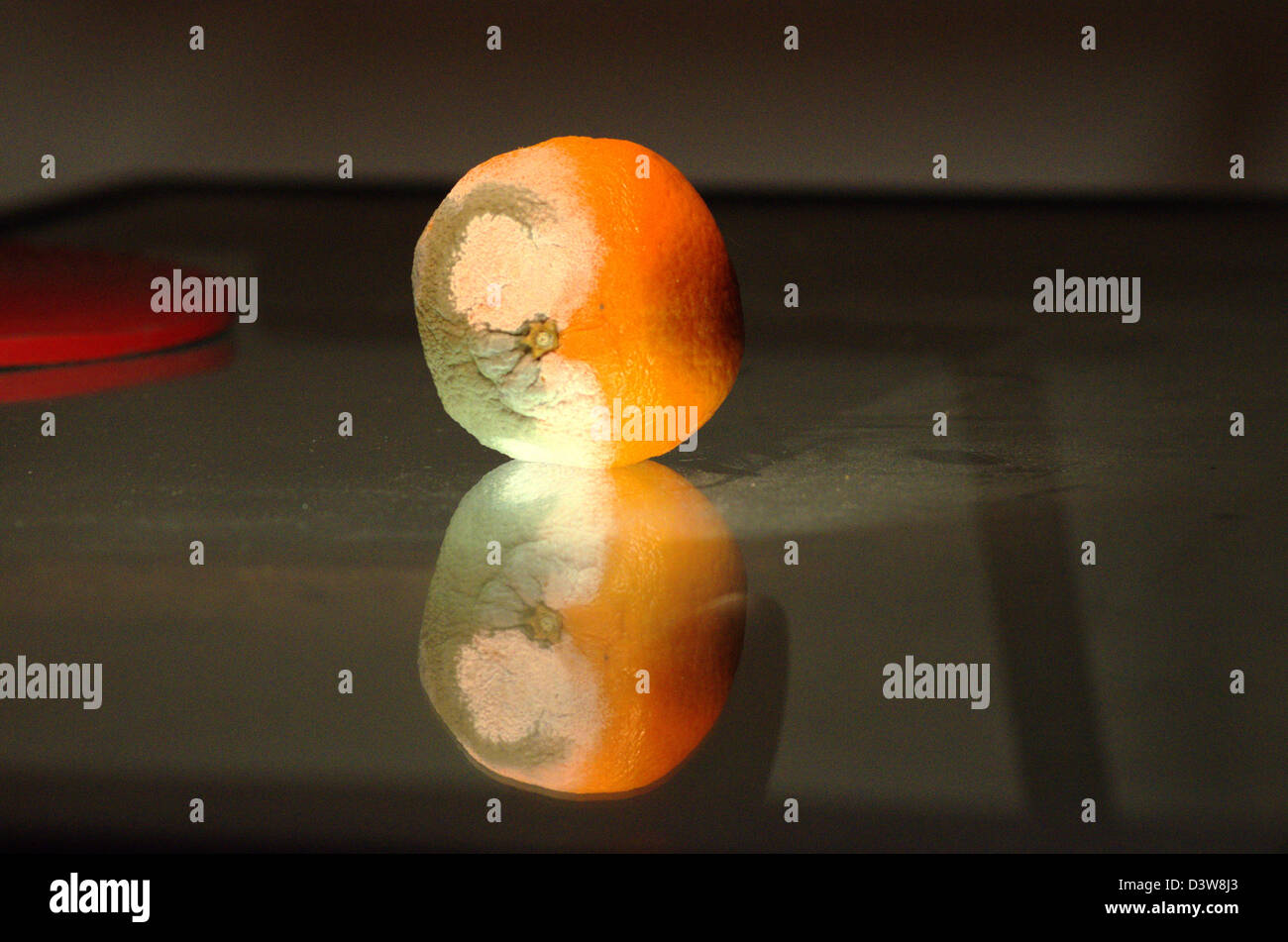 Rotten orange in a still life Stock Photo - Alamy