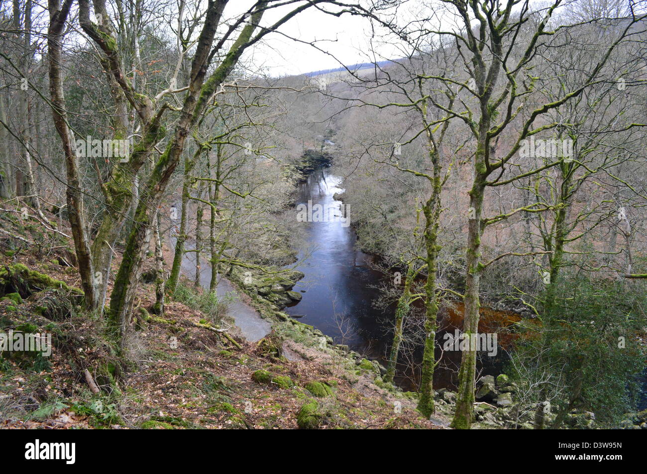 River Wharfe Through Trees on The Dales Way Long Distance Footpath at ...