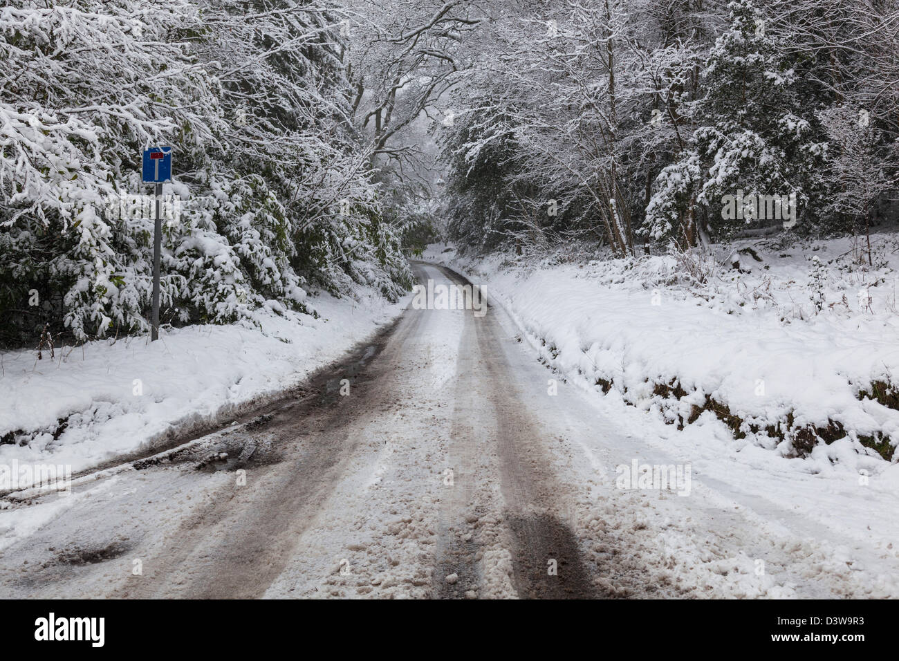 Country Lane Surrey High Resolution Stock Photography and Images - Alamy