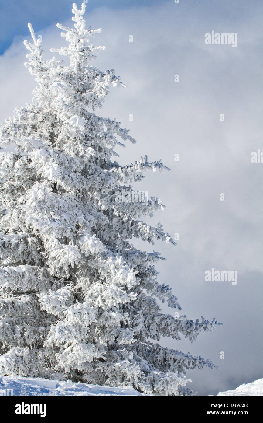 Landscapes of Massif Chartreuse Stock Photo - Alamy