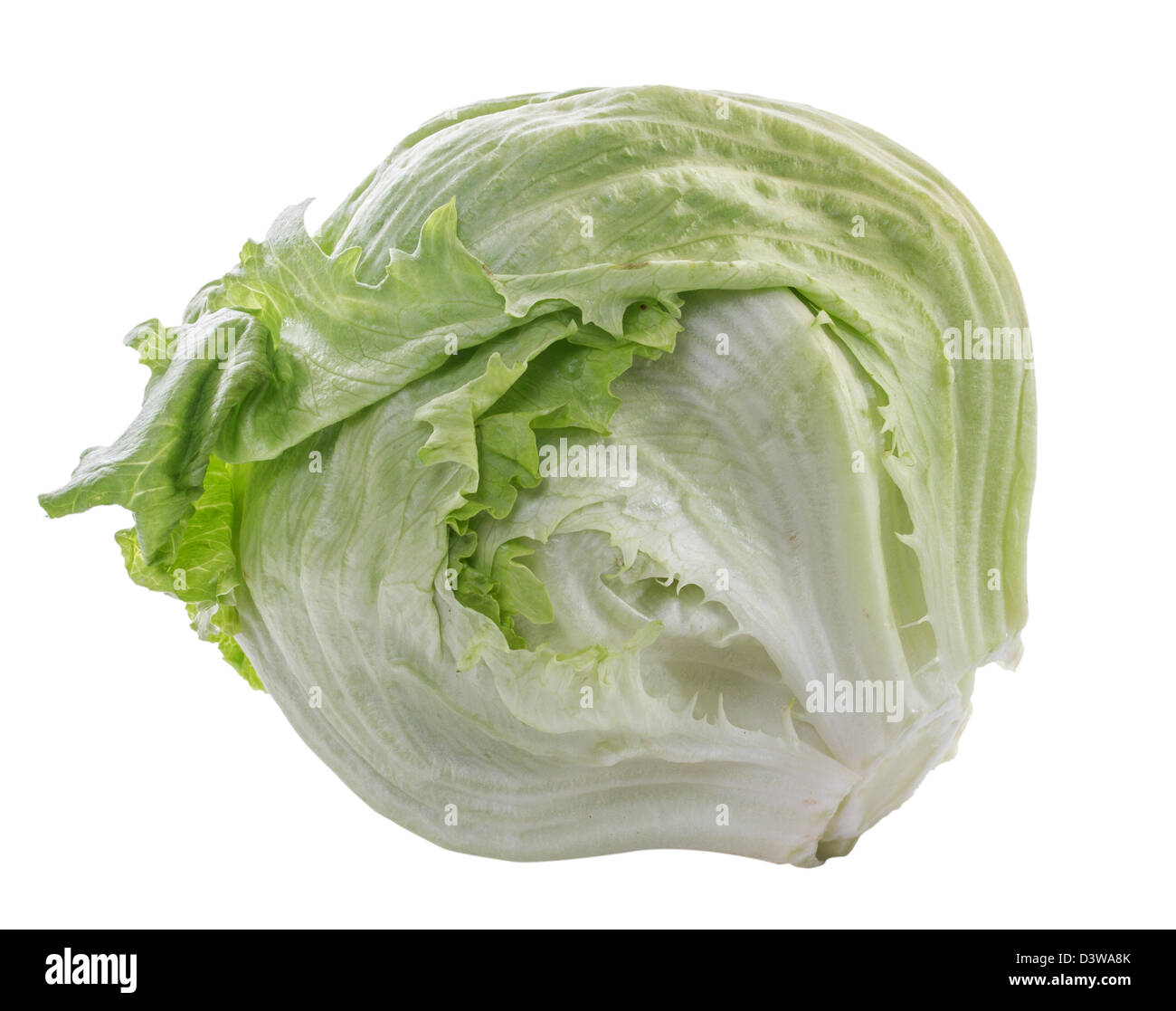 cabbage on a white background Stock Photo - Alamy