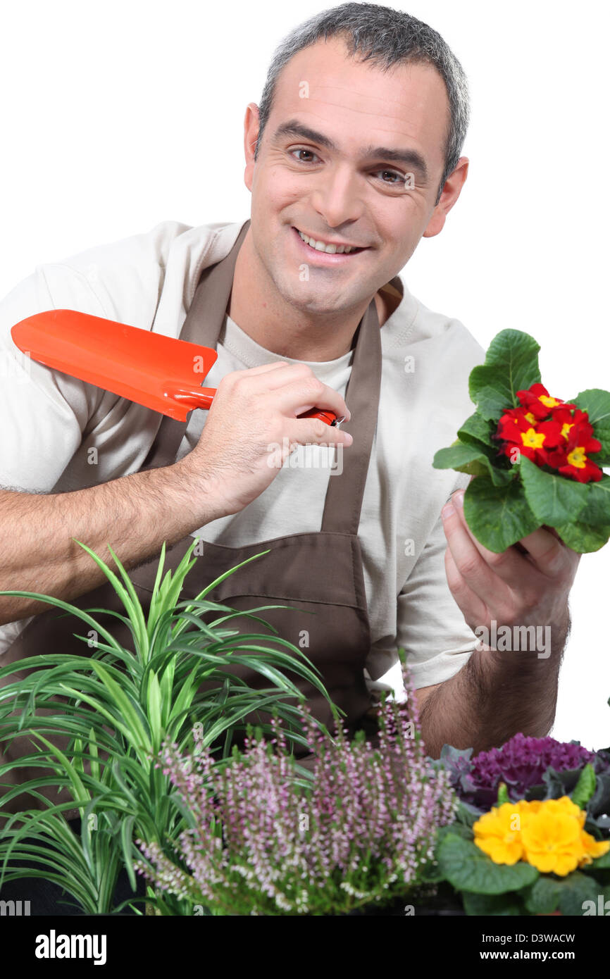 Hands caucasian male gardener cutting hi-res stock photography and ...