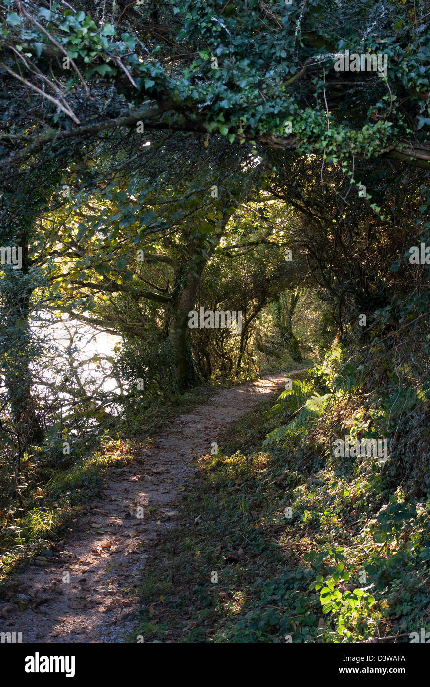 Looking into the distance Stock Photo - Alamy