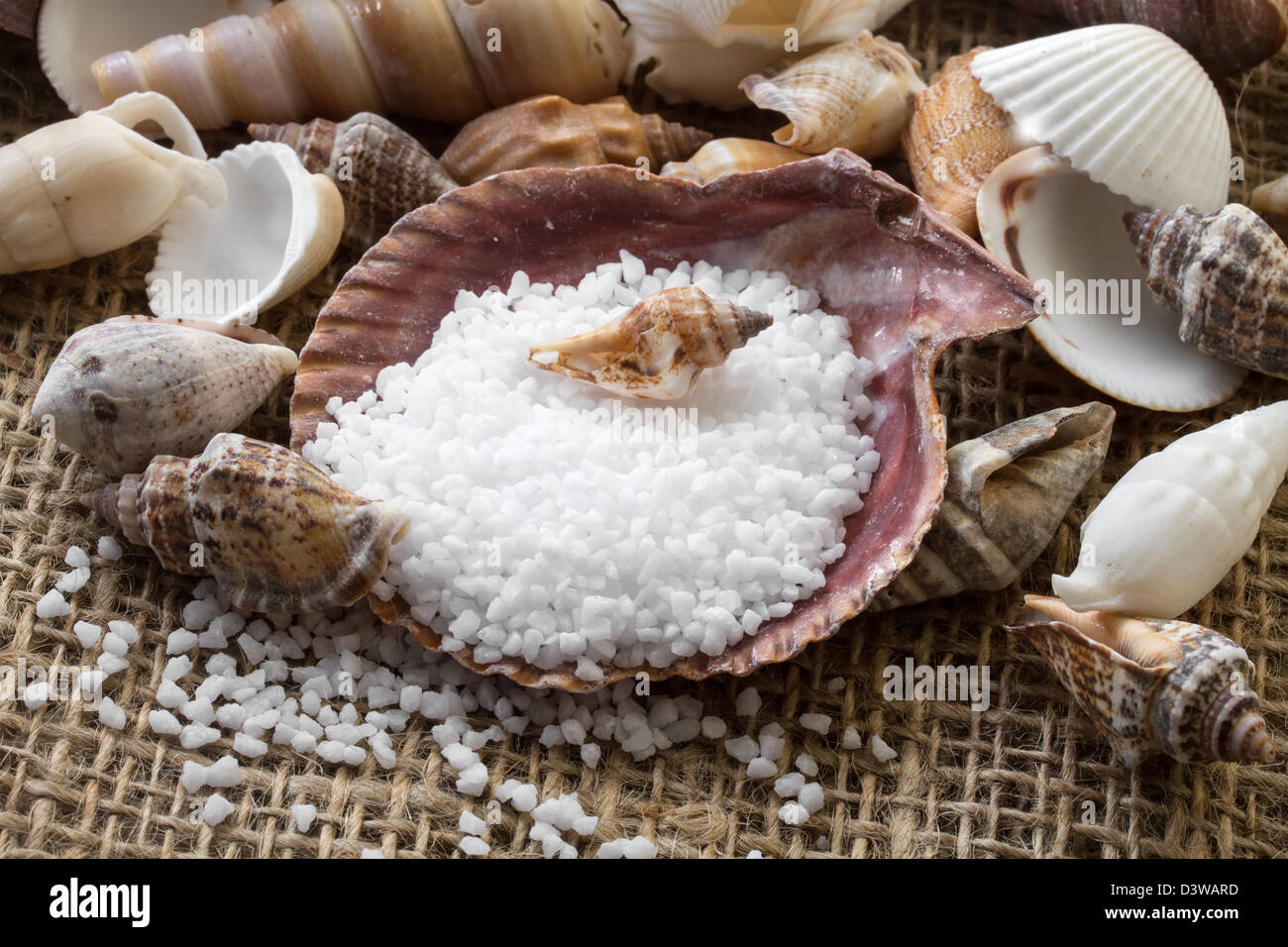 Spa background with sea salt and shells Stock Photo - Alamy