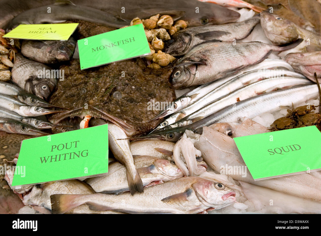 Scenes at a fish market in the coastal town of Newhaven in the UK ...