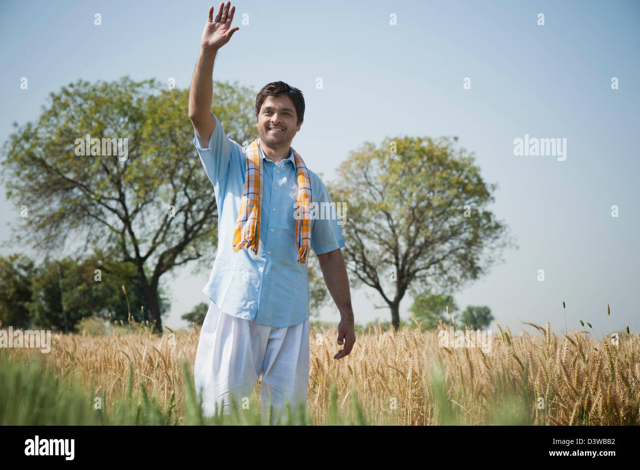 Farmer gesturing in the field, Sohna, Haryana, India Stock Photo - Alamy