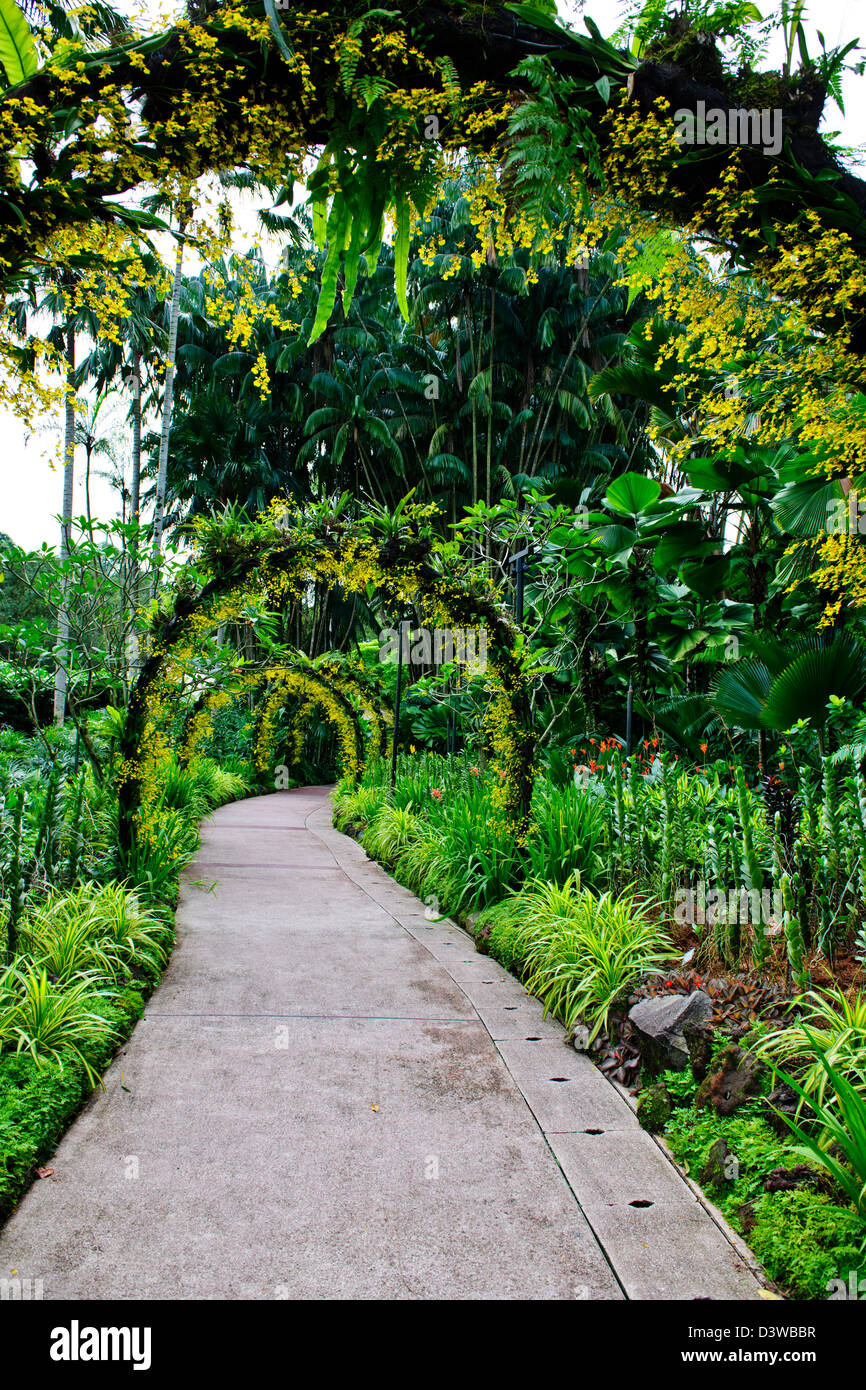 National Orchid Garden,Tan Hoon Siang Mist House,1,000 species and ...
