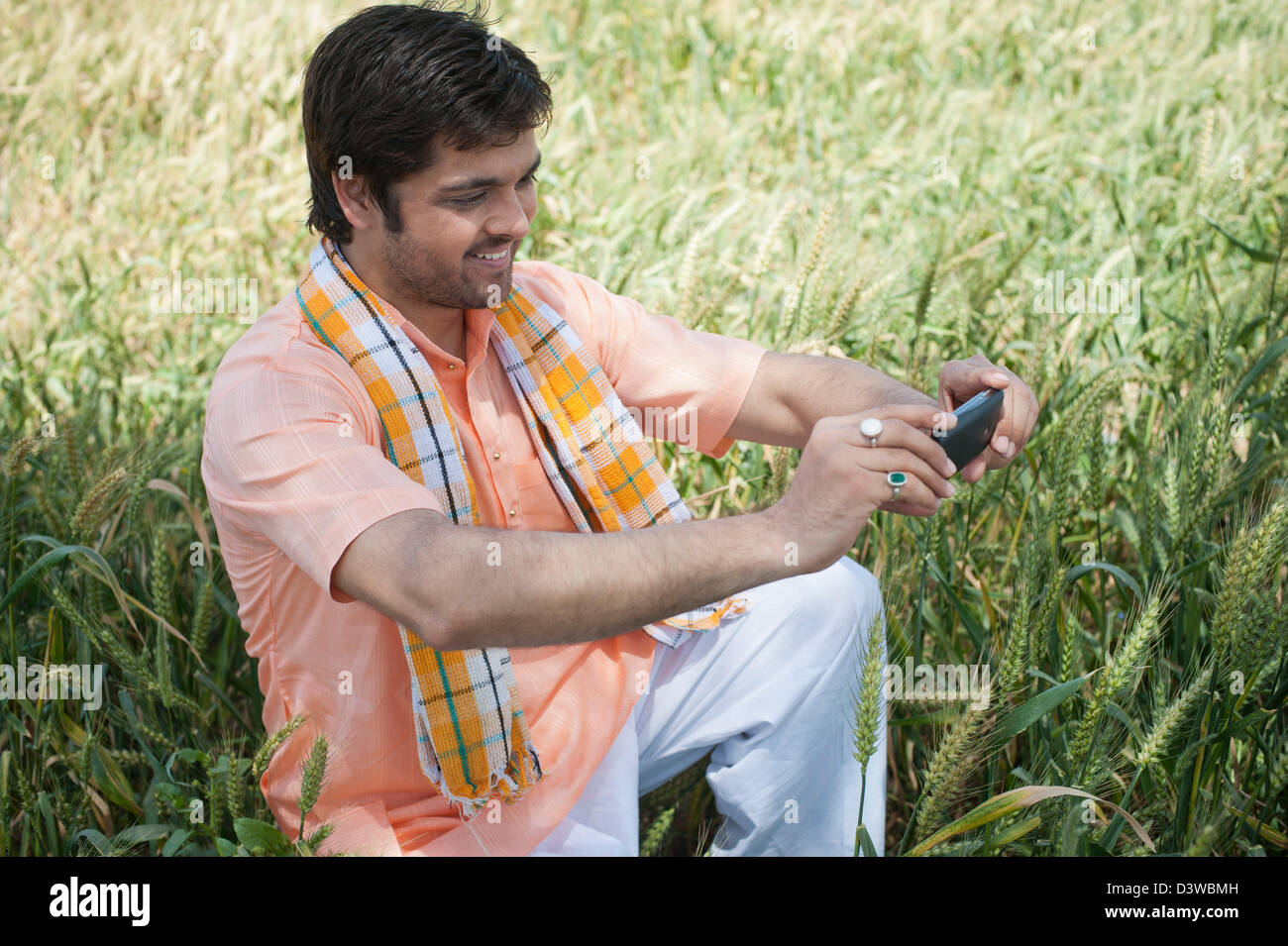 Farmer taking a picture of crop with a mobile phone, Sohna, Haryana, India Stock Photo - Alamy
