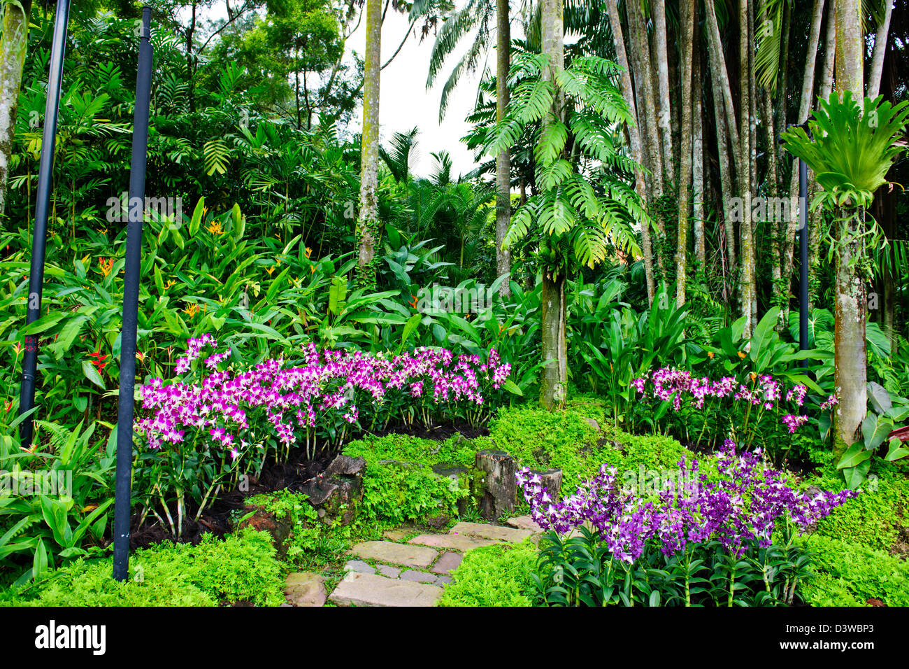 Singapore botanical gardens mist garden hi-res stock photography and ...