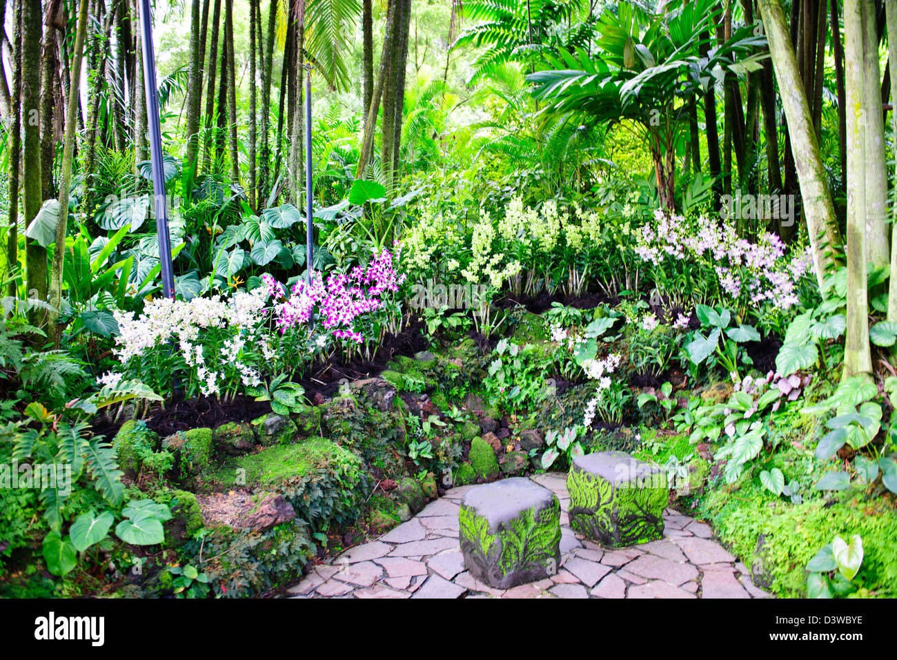 Singapore botanical gardens mist garden hi-res stock photography and ...