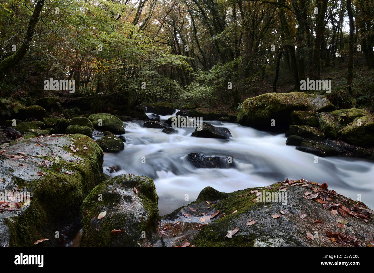 Goliath fall hi-res stock photography and images - Alamy