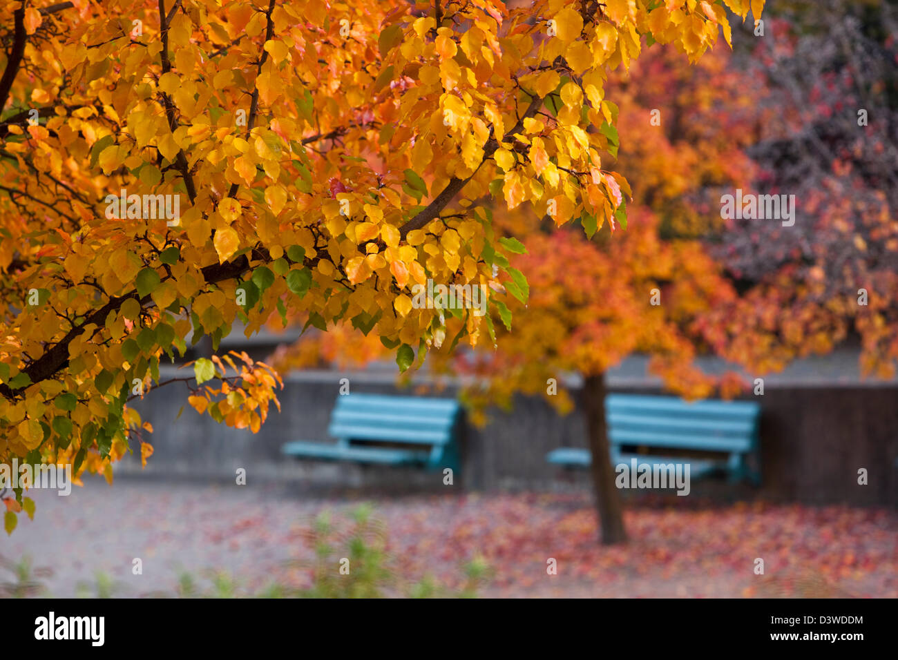 Australian colours hi-res stock photography and images - Alamy
