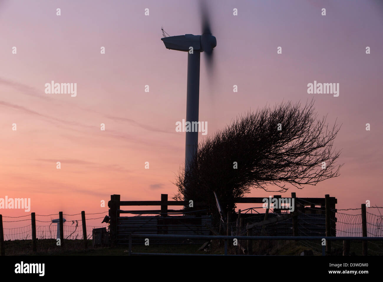 A 2 MW wind turbine producing renewable electricity in the grounds of ...