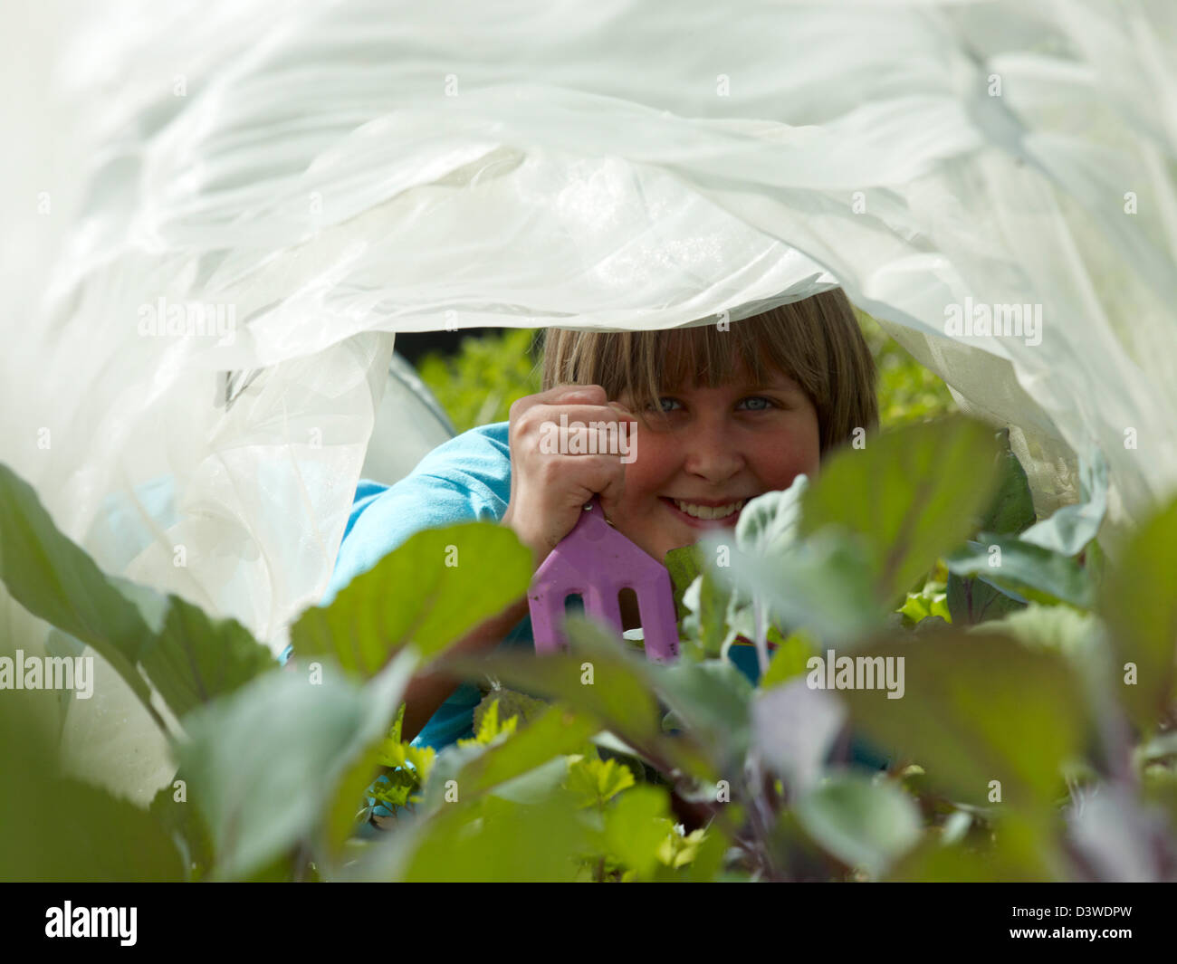 Children at the allotment Stock Photo - Alamy