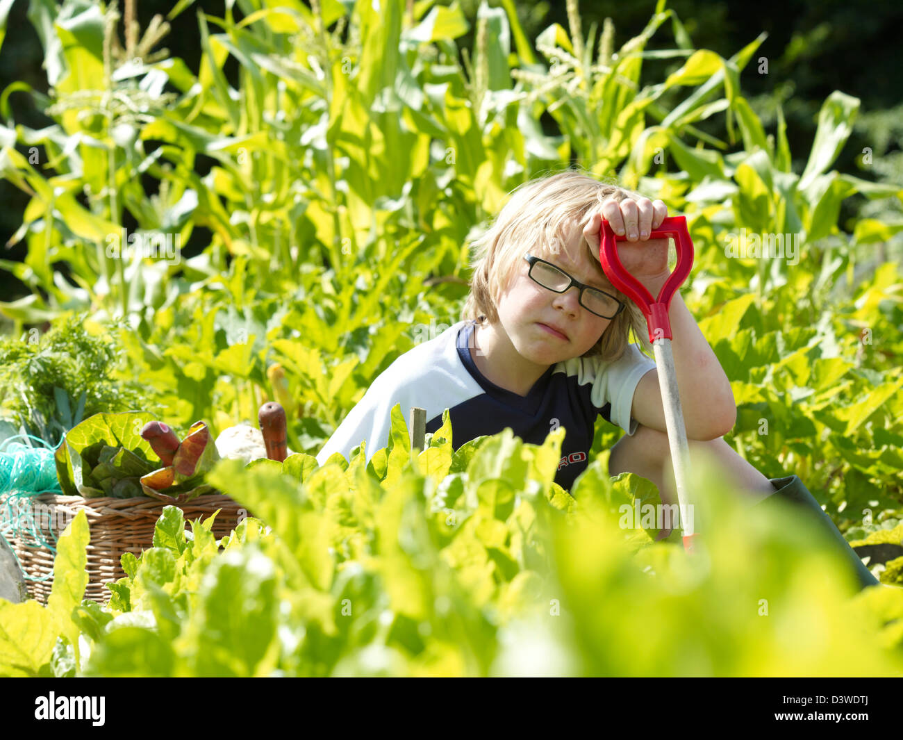 Children at the allotment Stock Photo - Alamy