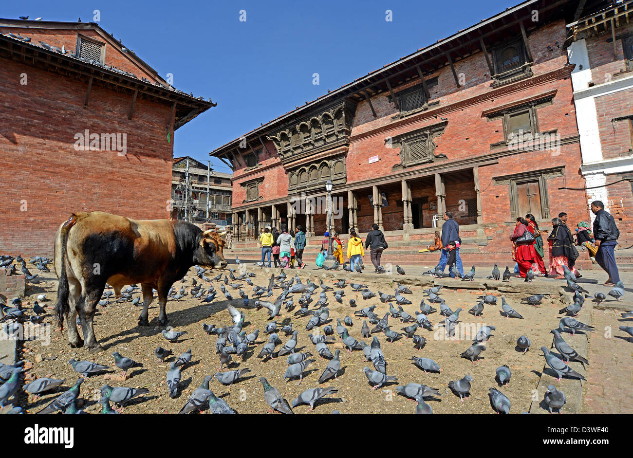 street scene Kathmandu Nepal Stock Photo - Alamy street scene Kathmandu Nepal Stock Photo - Alamy
