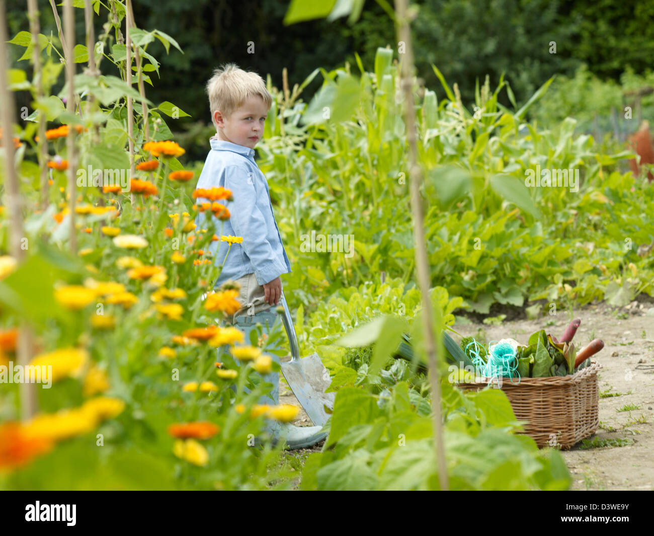 Children at the allotment Stock Photo - Alamy