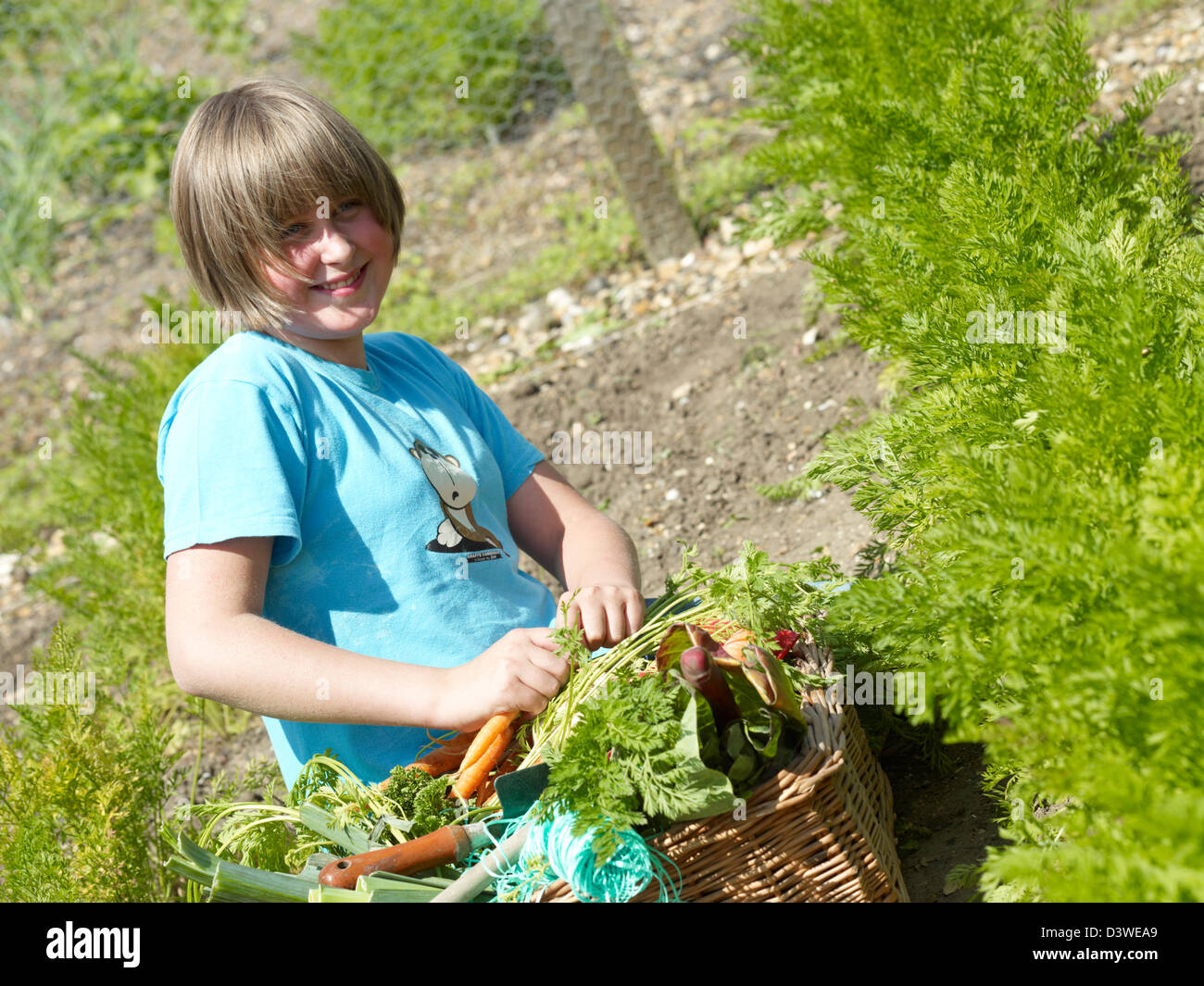 Children at the allotment Stock Photo - Alamy