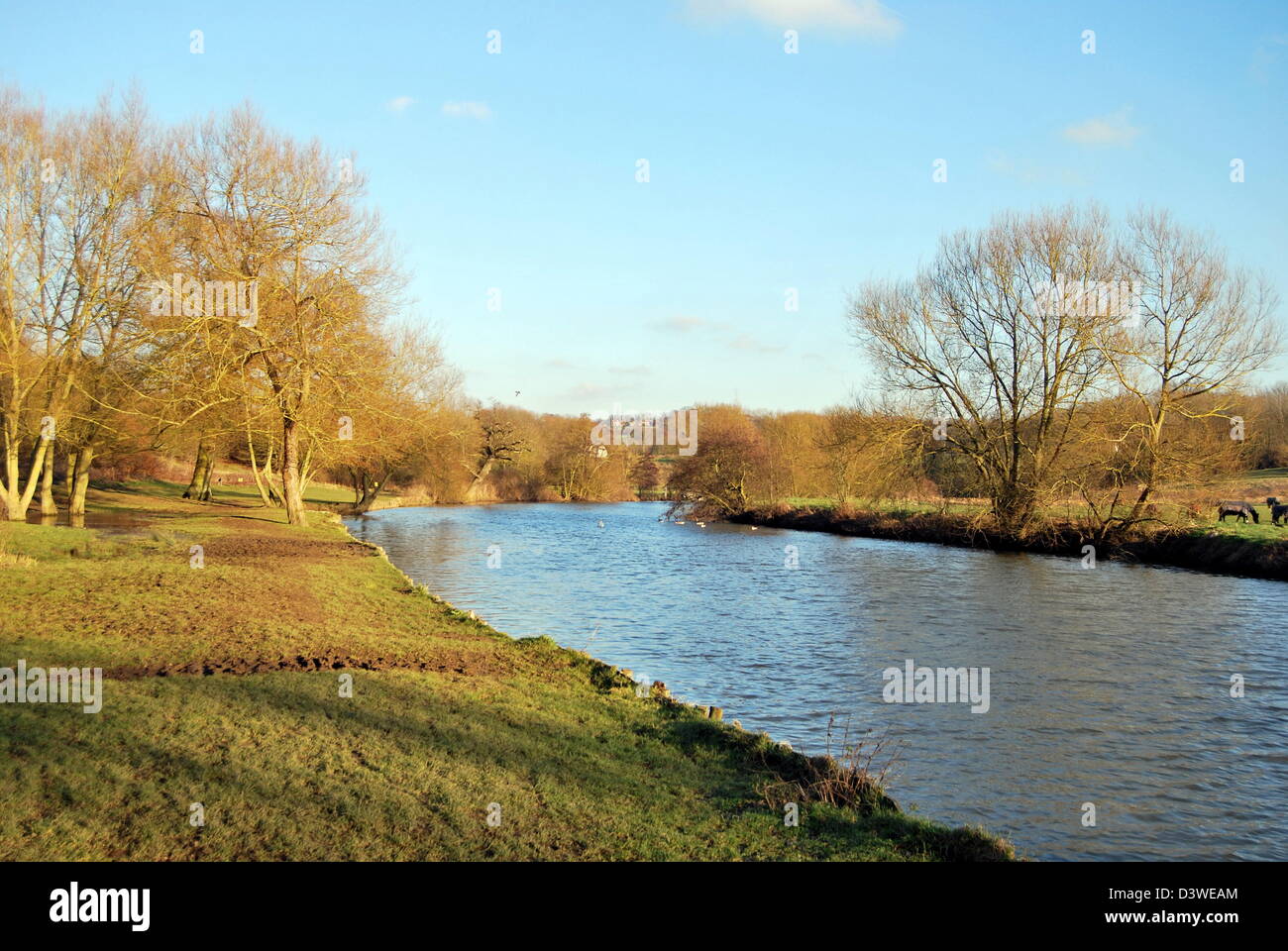 The river medway at Wateringbury in Kent in late afternoon winter ...