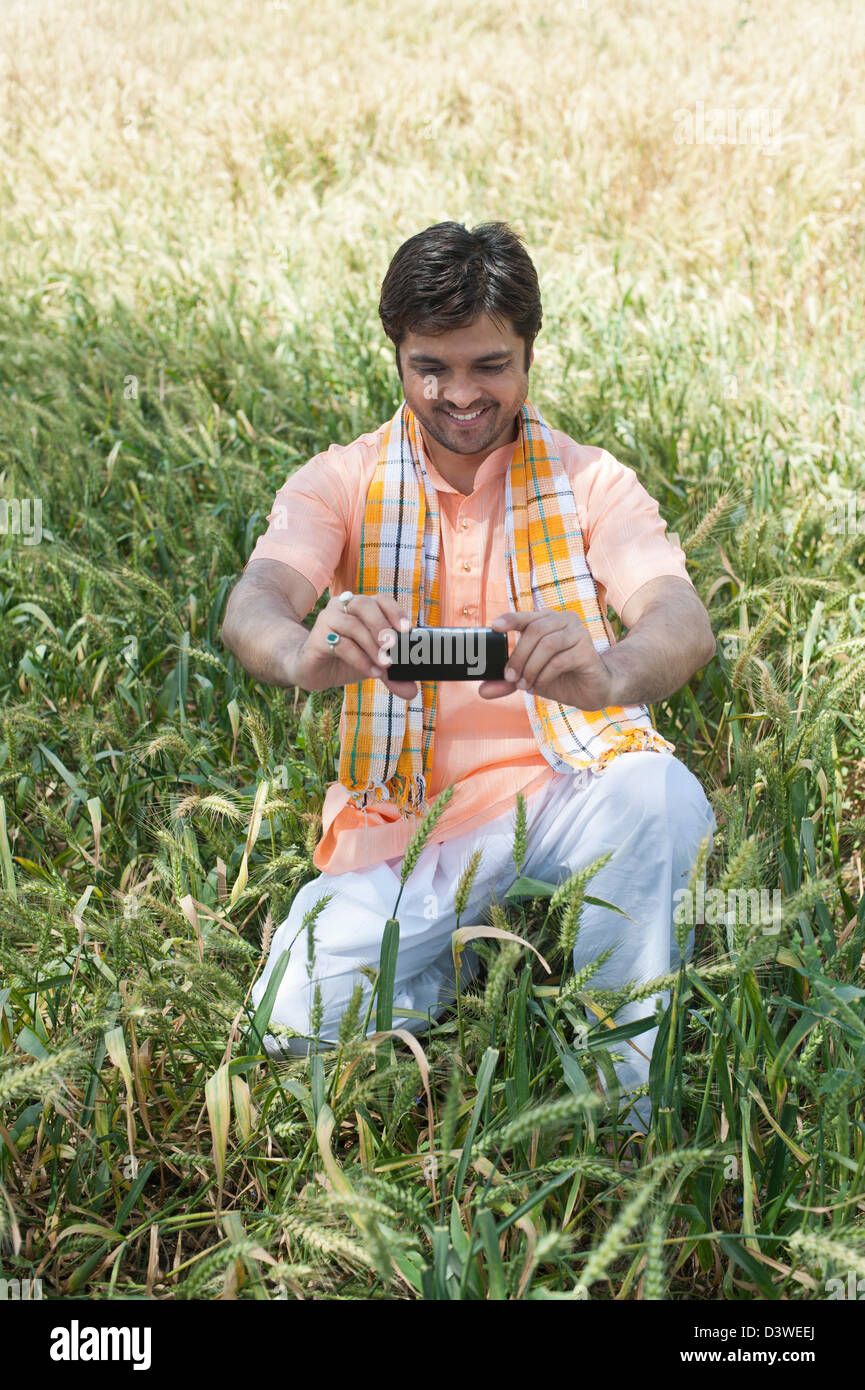Farmer taking a picture of crop with a mobile phone, Sohna, Haryana, India Stock Photo - Alamy