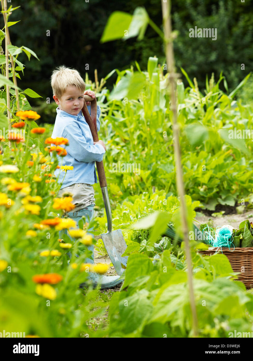 Children at the allotment Stock Photo - Alamy