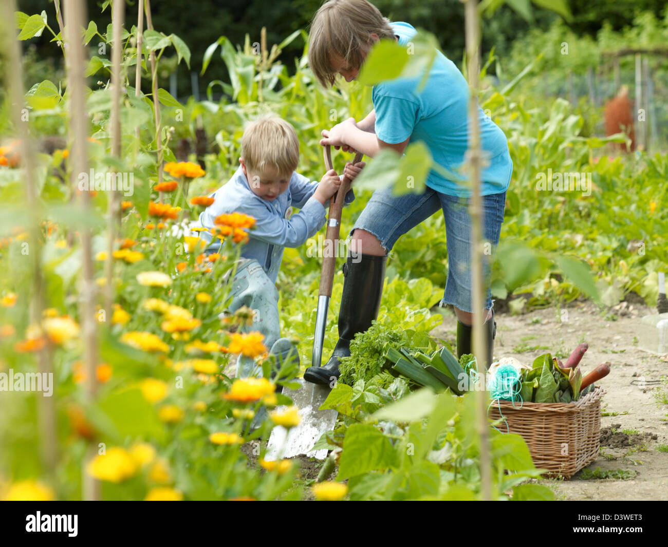 Children at the allotment Stock Photo - Alamy