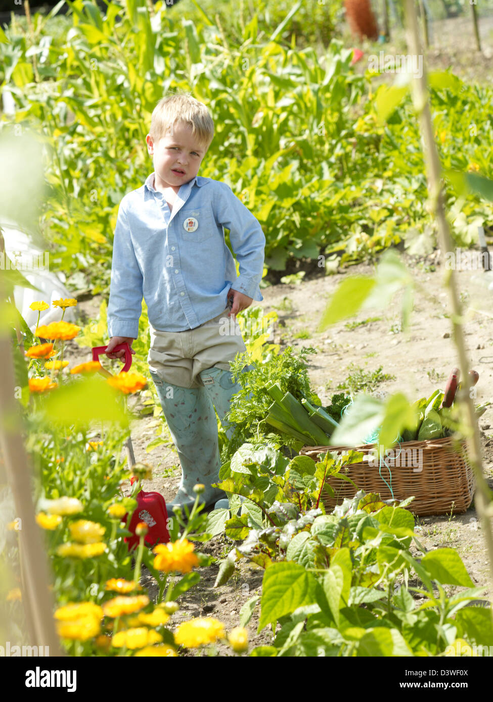 Children at the allotment Stock Photo - Alamy