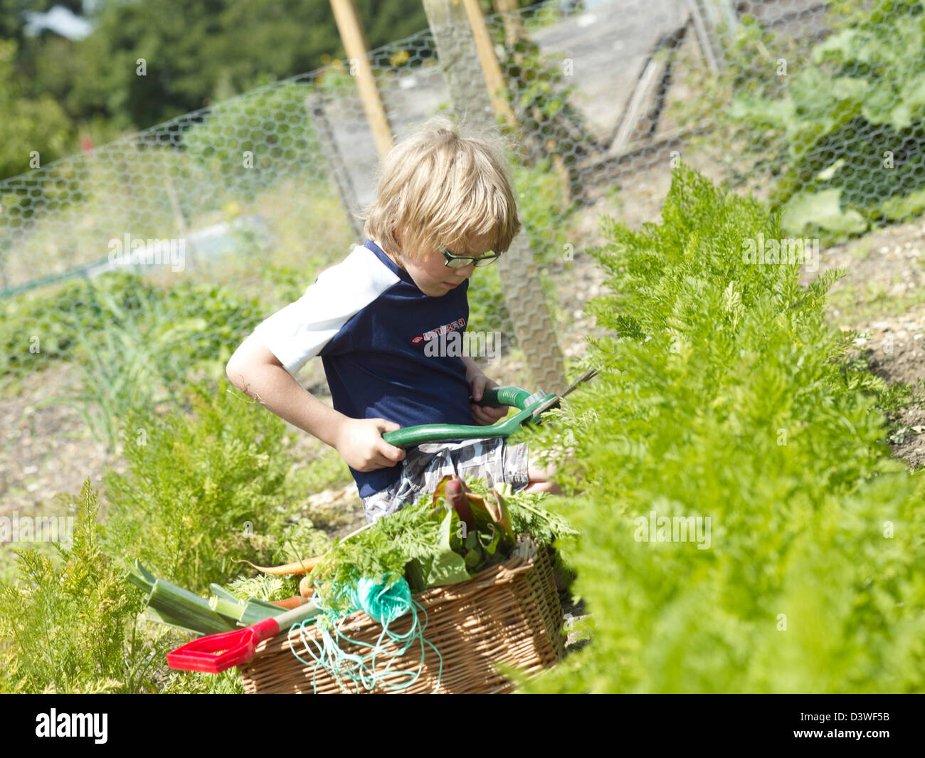 Garden children sweet peas hi-res stock photography and images - Alamy