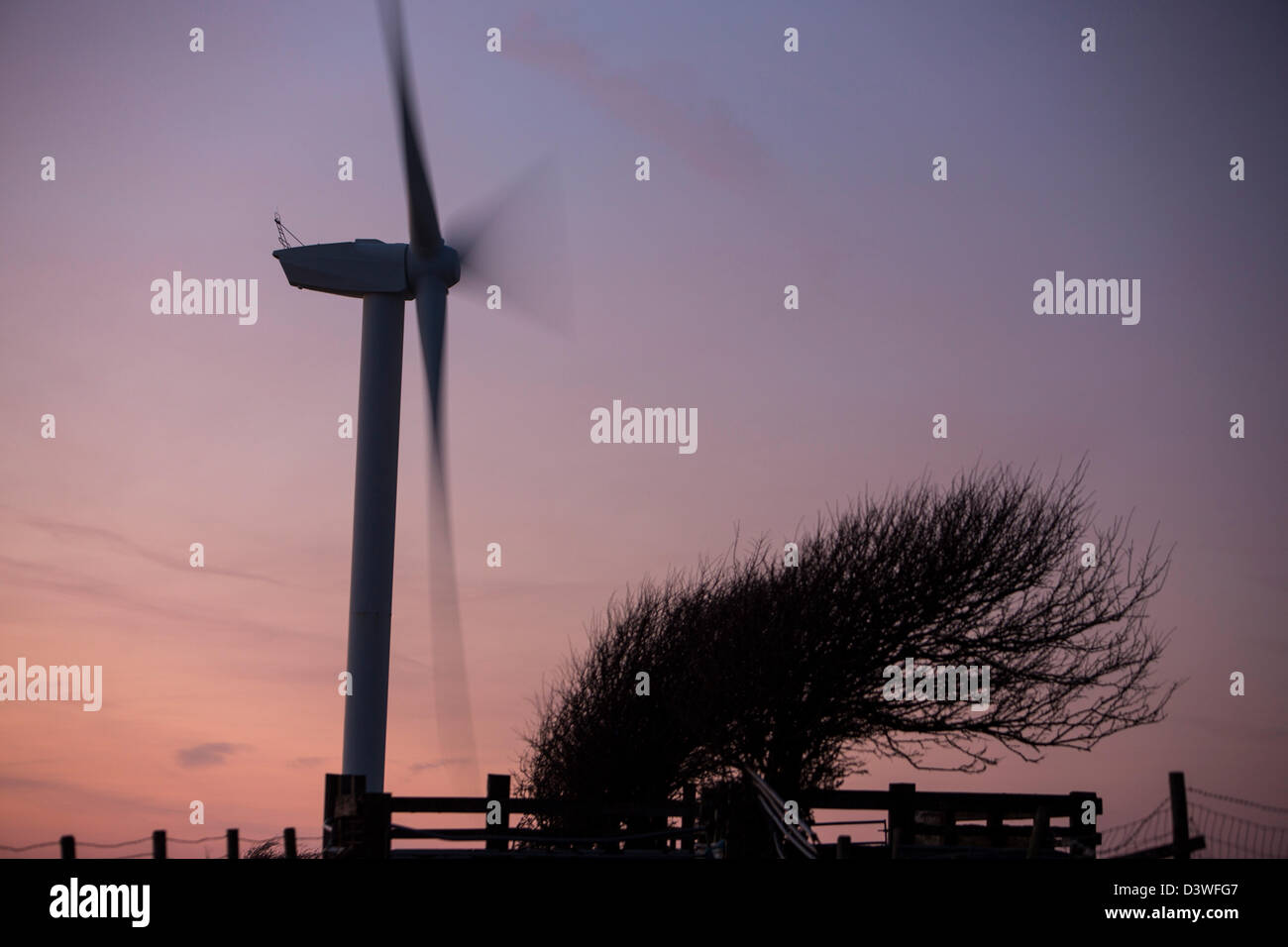 Prevailing hi-res stock photography and images - Alamy