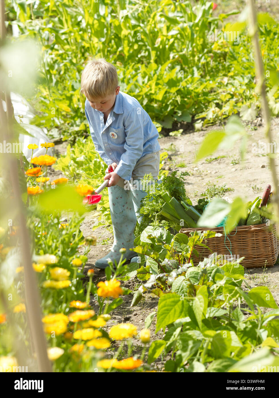 Children at the allotment Stock Photo - Alamy