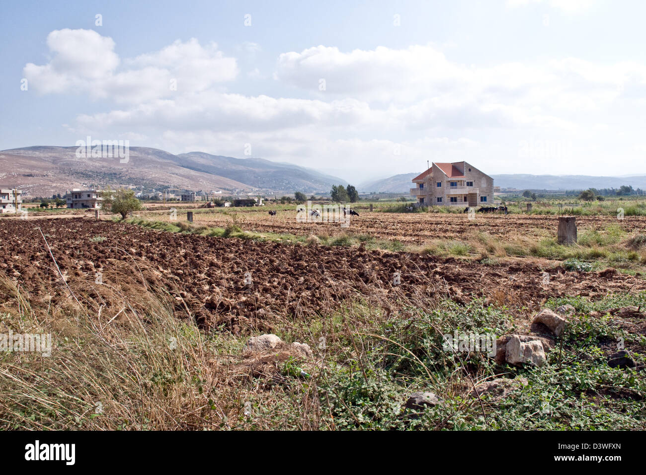 A house, cows and farmland in the Akkar region of northern Lebanon just ...