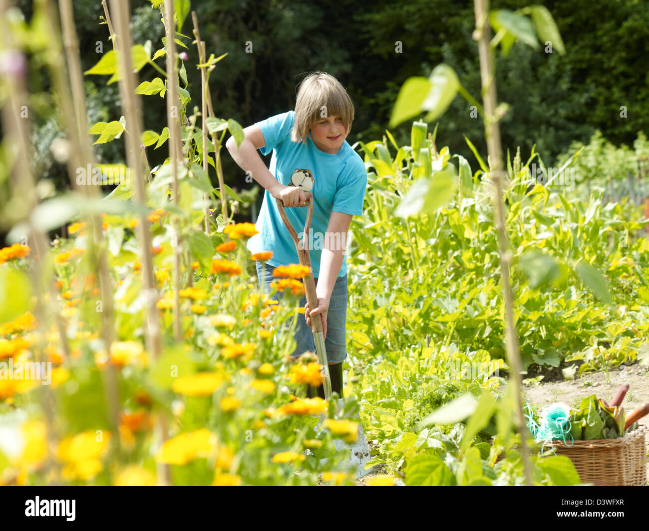 Children at the allotment Stock Photo - Alamy