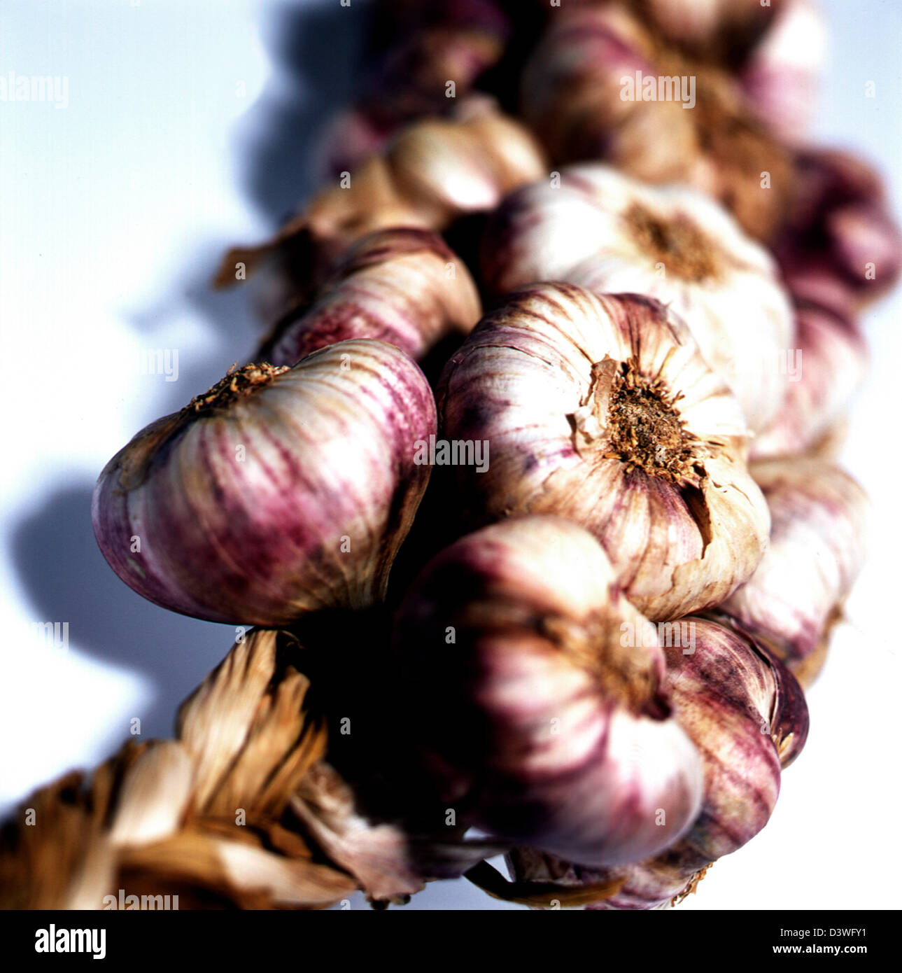 String of garlic Stock Photo - Alamy