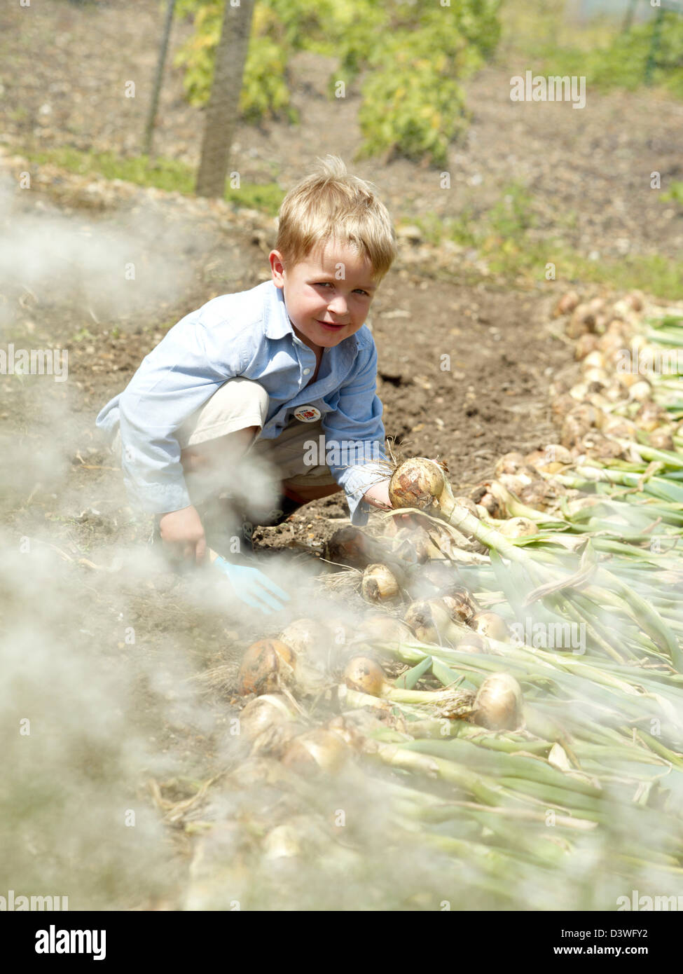 Children at the allotment Stock Photo - Alamy