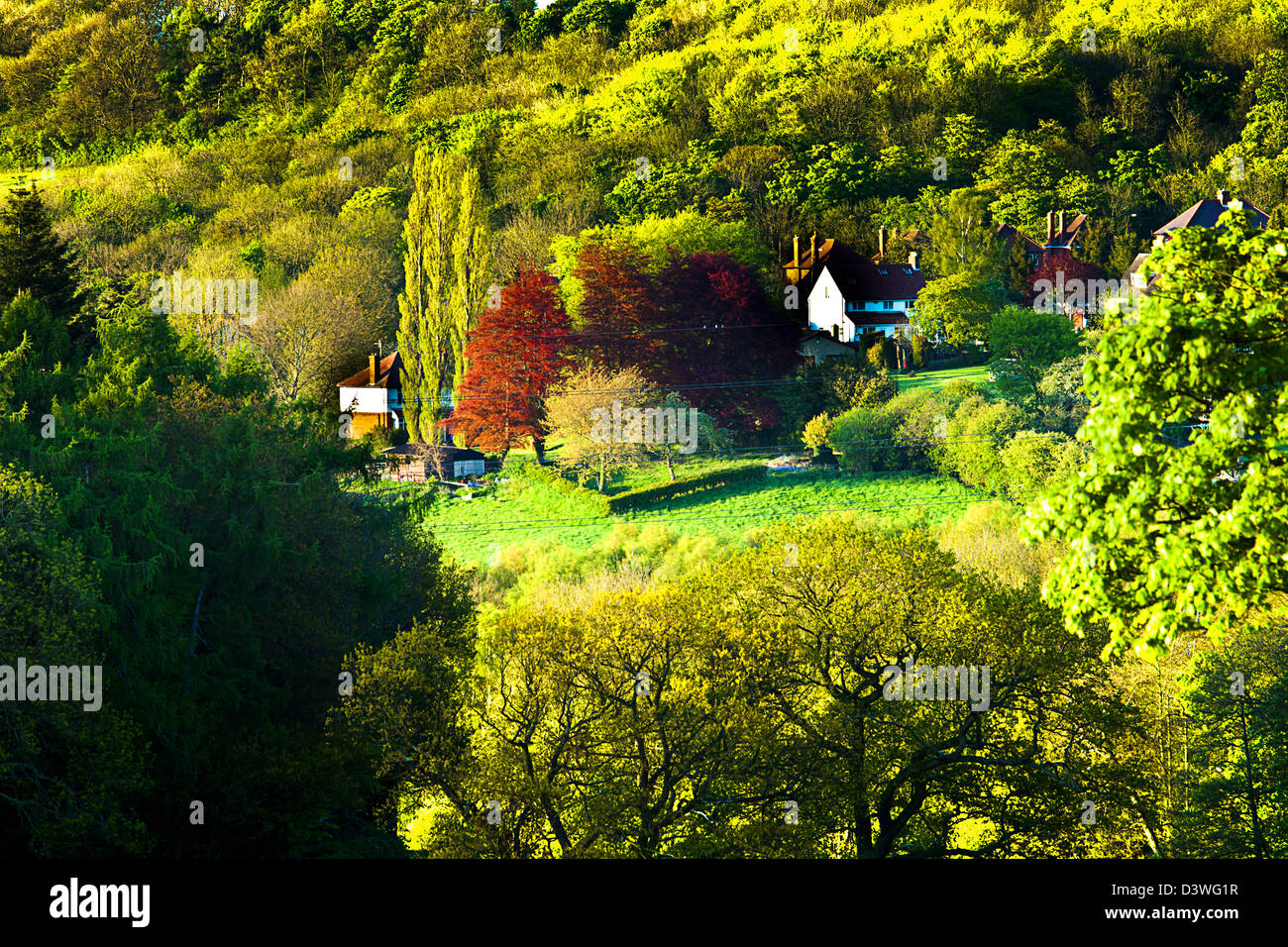 Glapwell, Derbyshire on a spring evening in sunshine Stock Photo - Alamy