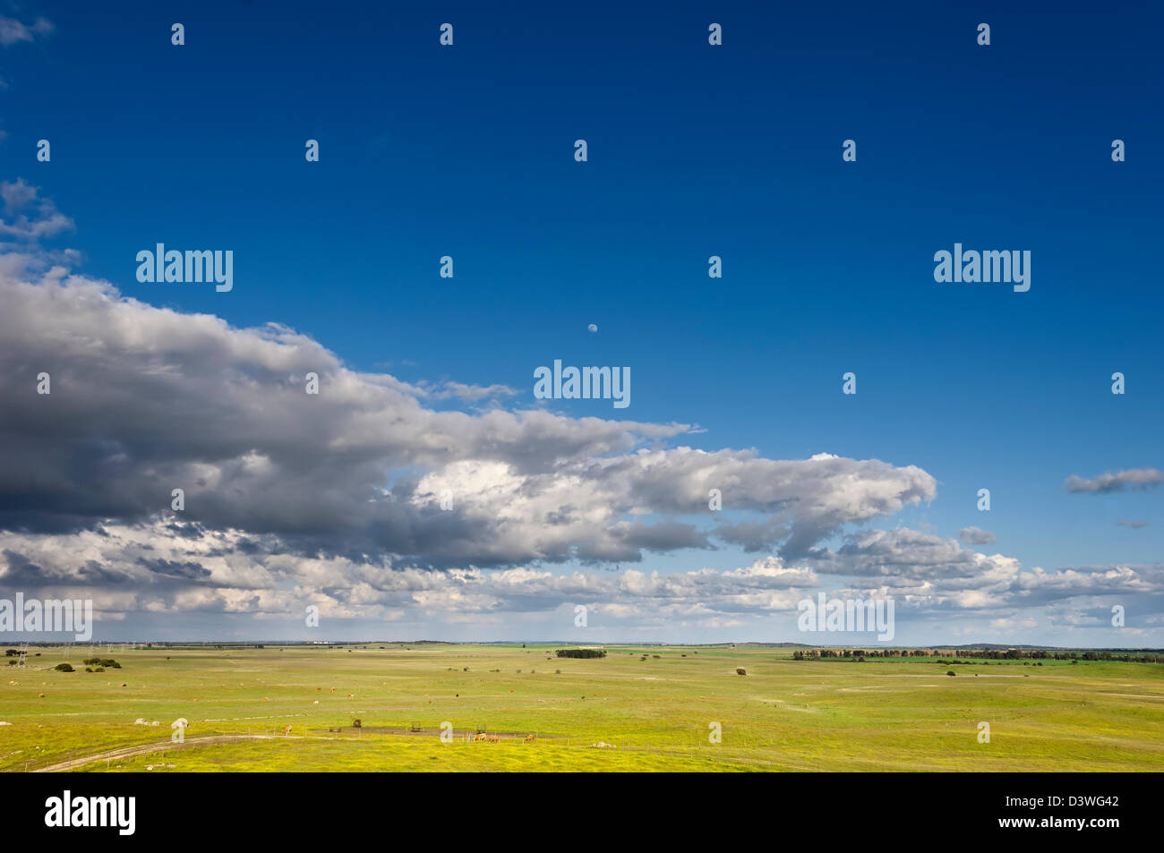 Alentejo plains hi-res stock photography and images - Alamy