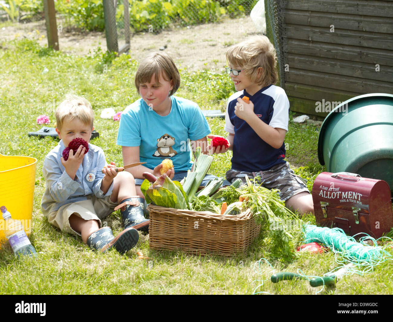 Children at the allotment Stock Photo - Alamy
