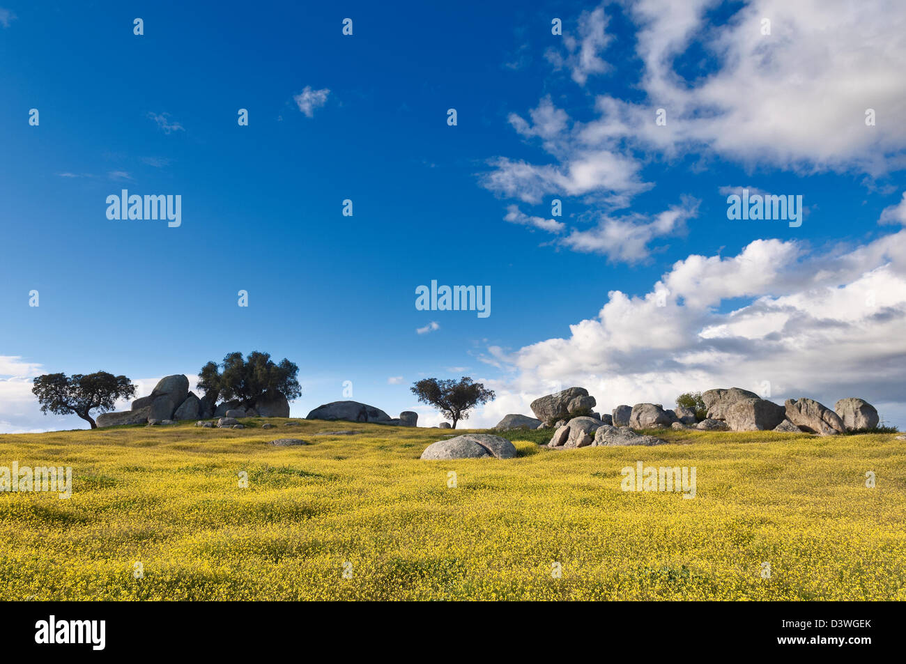 Alentejo is a country hi-res stock photography and images - Alamy