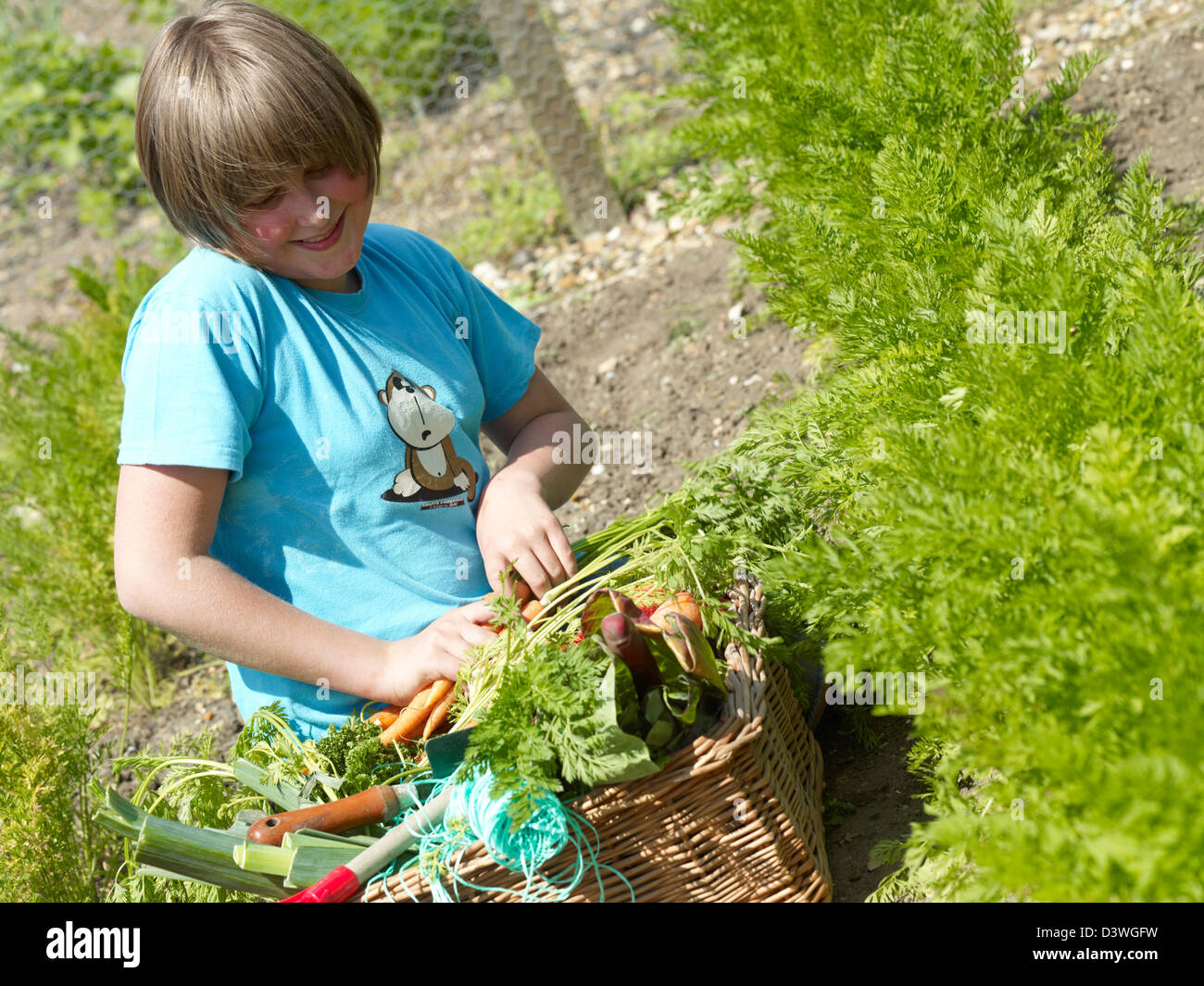Children at the allotment Stock Photo - Alamy