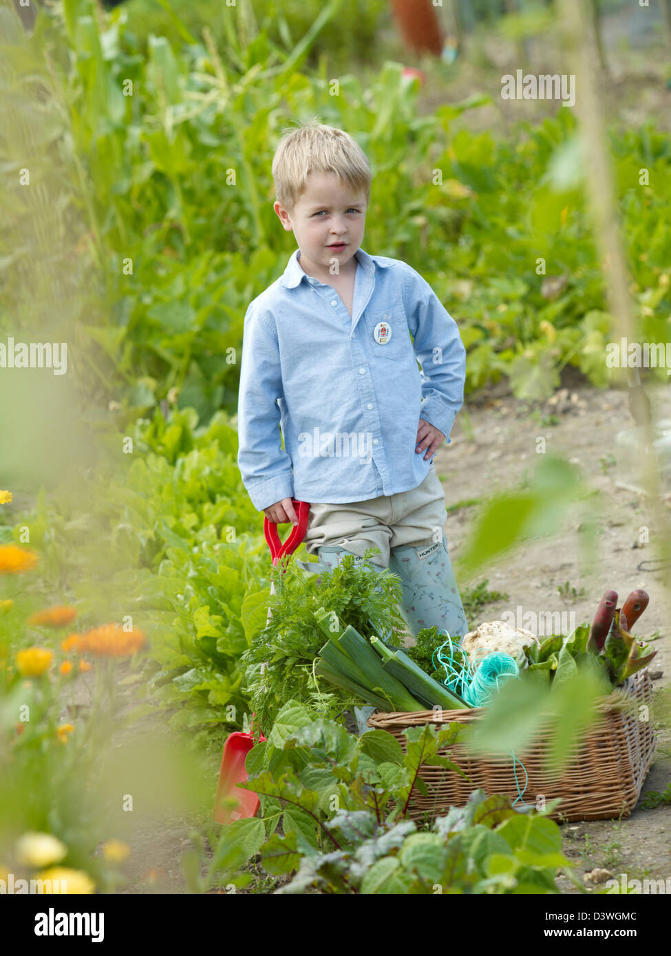 Children at the allotment Stock Photo - Alamy