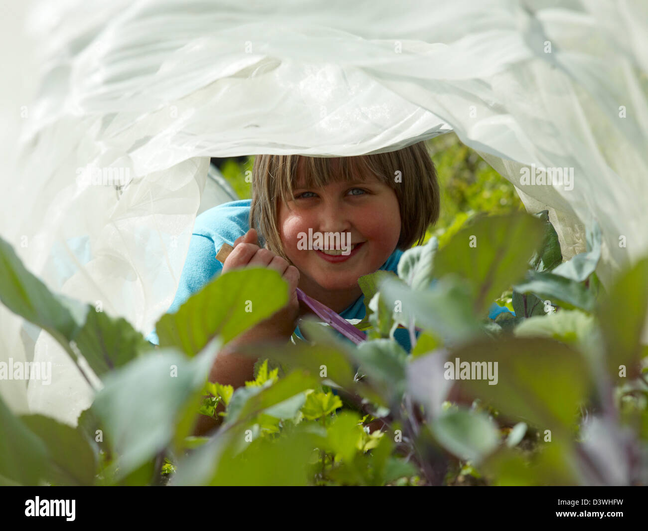Children at the allotment Stock Photo - Alamy