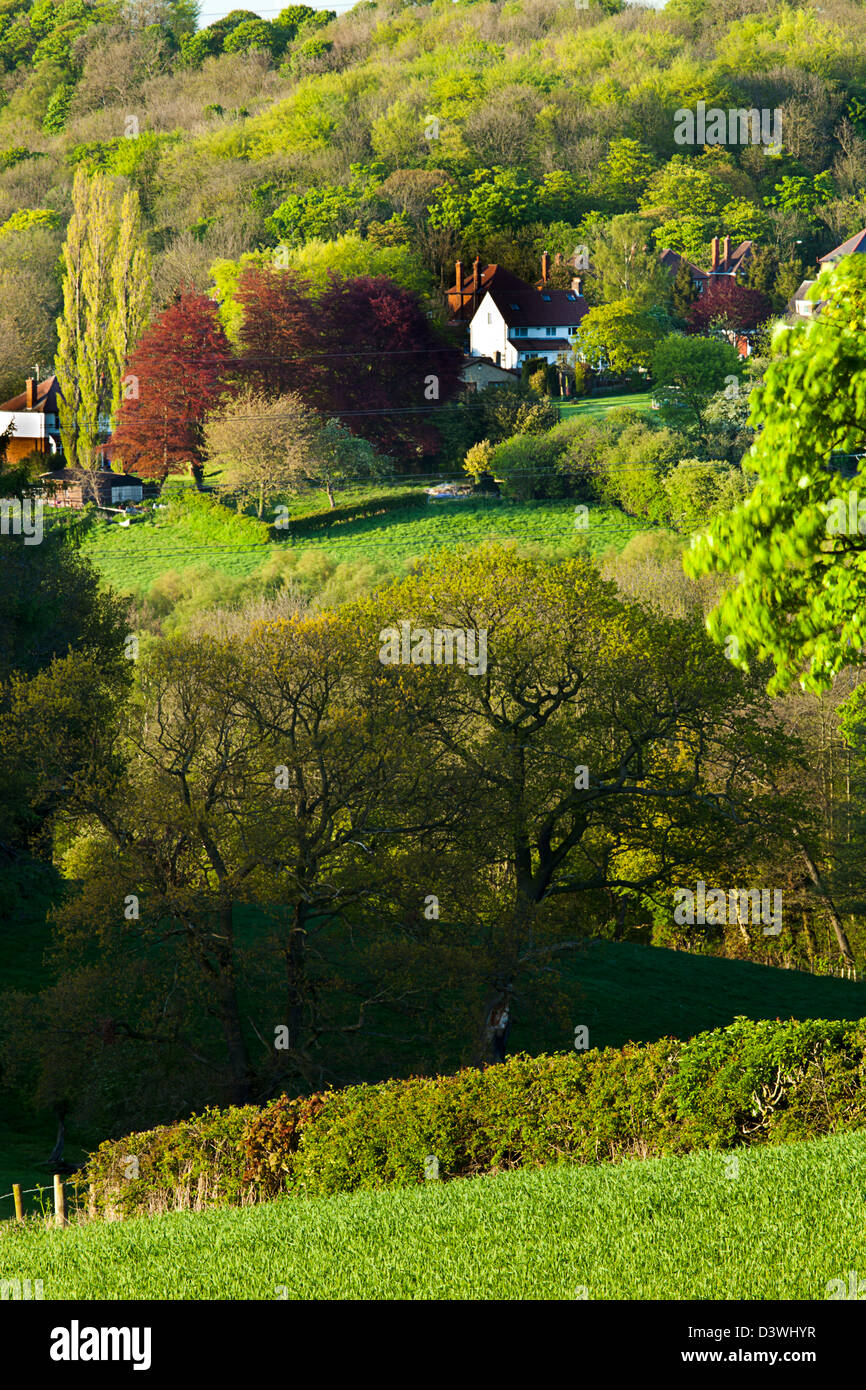 Glapwell, Derbyshire on a spring evening in sunshine Stock Photo - Alamy