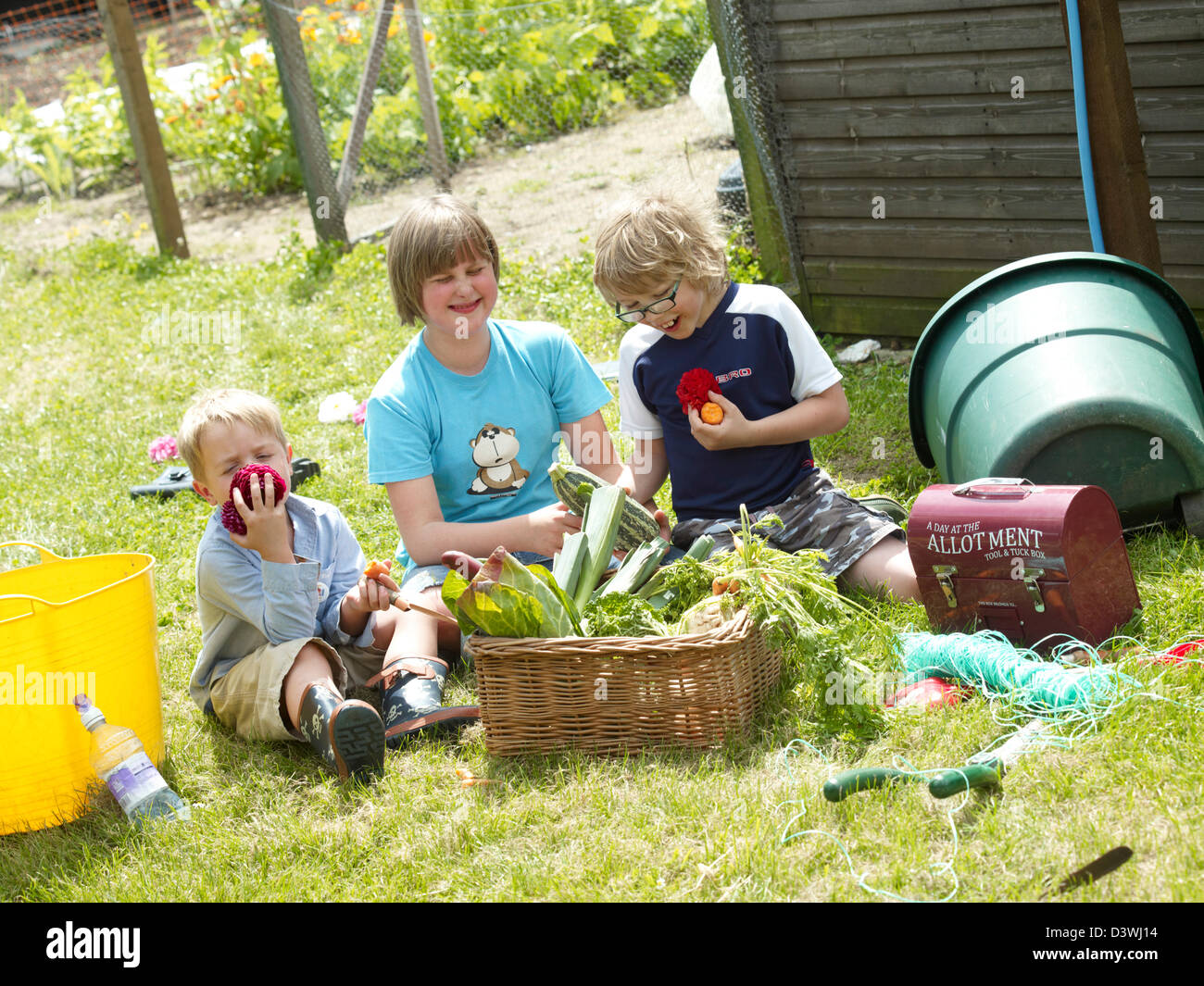 Children at the allotment Stock Photo - Alamy