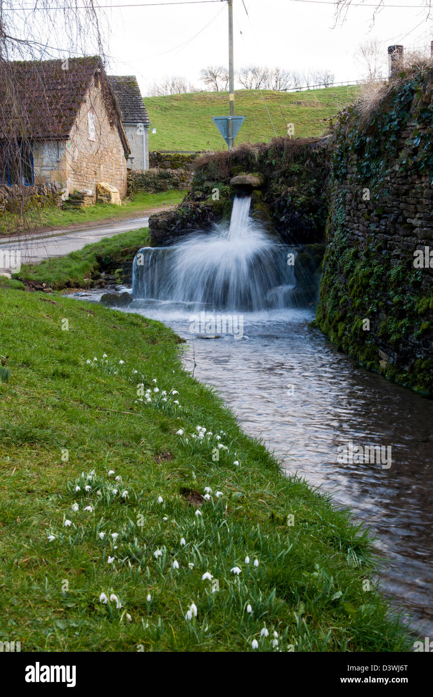 The crocodile spring conduit, Compton Abdale, Gloucestershire, England ...