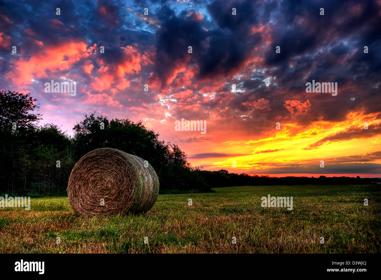 A beautiful sunset over a rural farm field Stock Photo - Alamy
