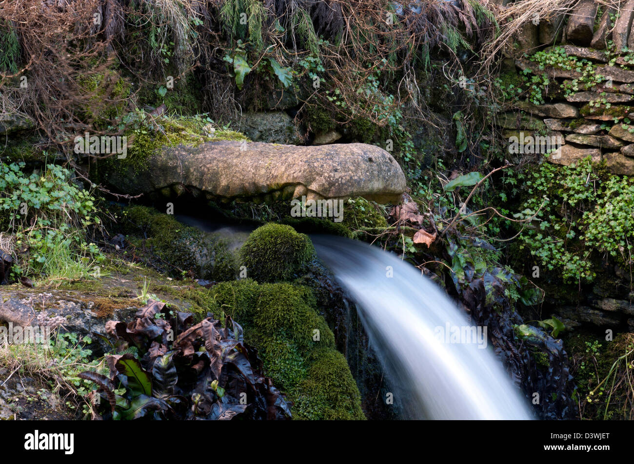 The crocodile spring conduit, Compton Abdale, Gloucestershire, England ...