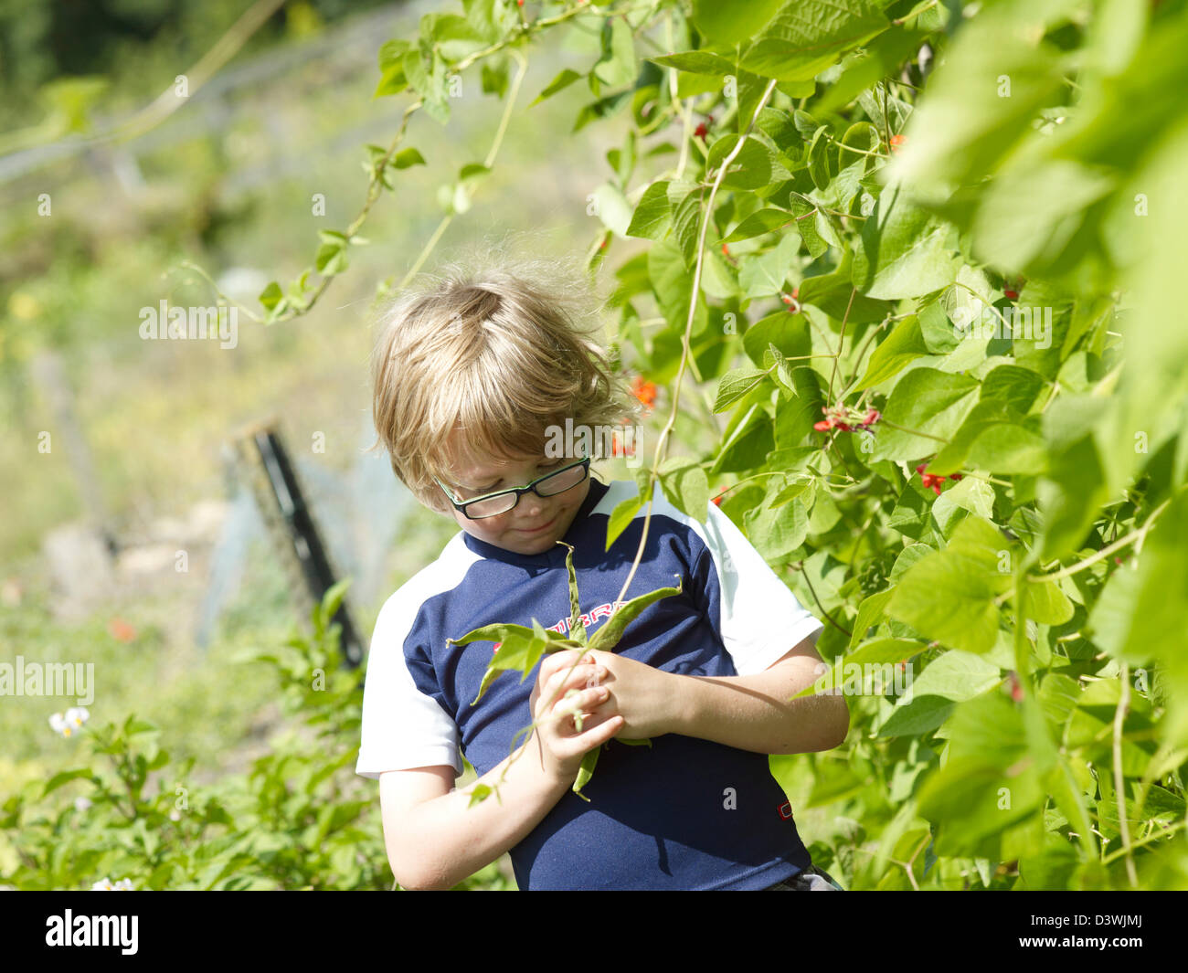 Children at the allotment Stock Photo - Alamy