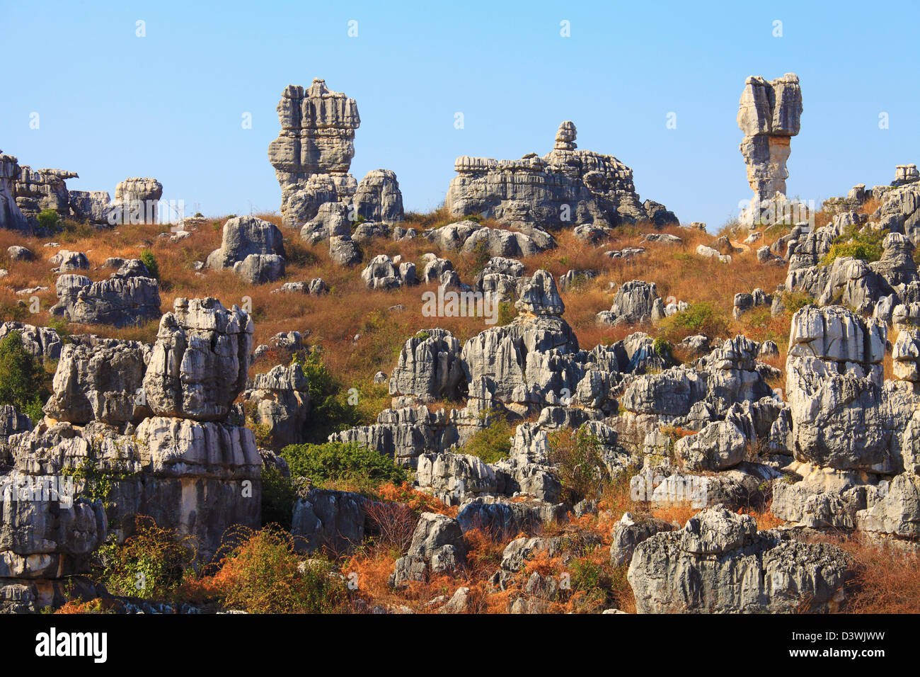 China, Yunnan, Shilin, Stone Forest Stock Photo - Alamy